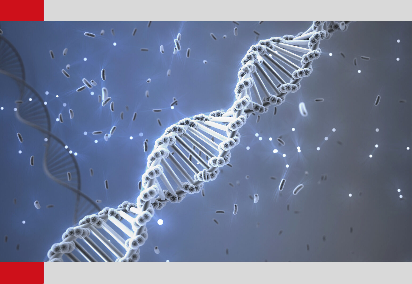 Italian Genome Project | NEWS | UPO Biobank